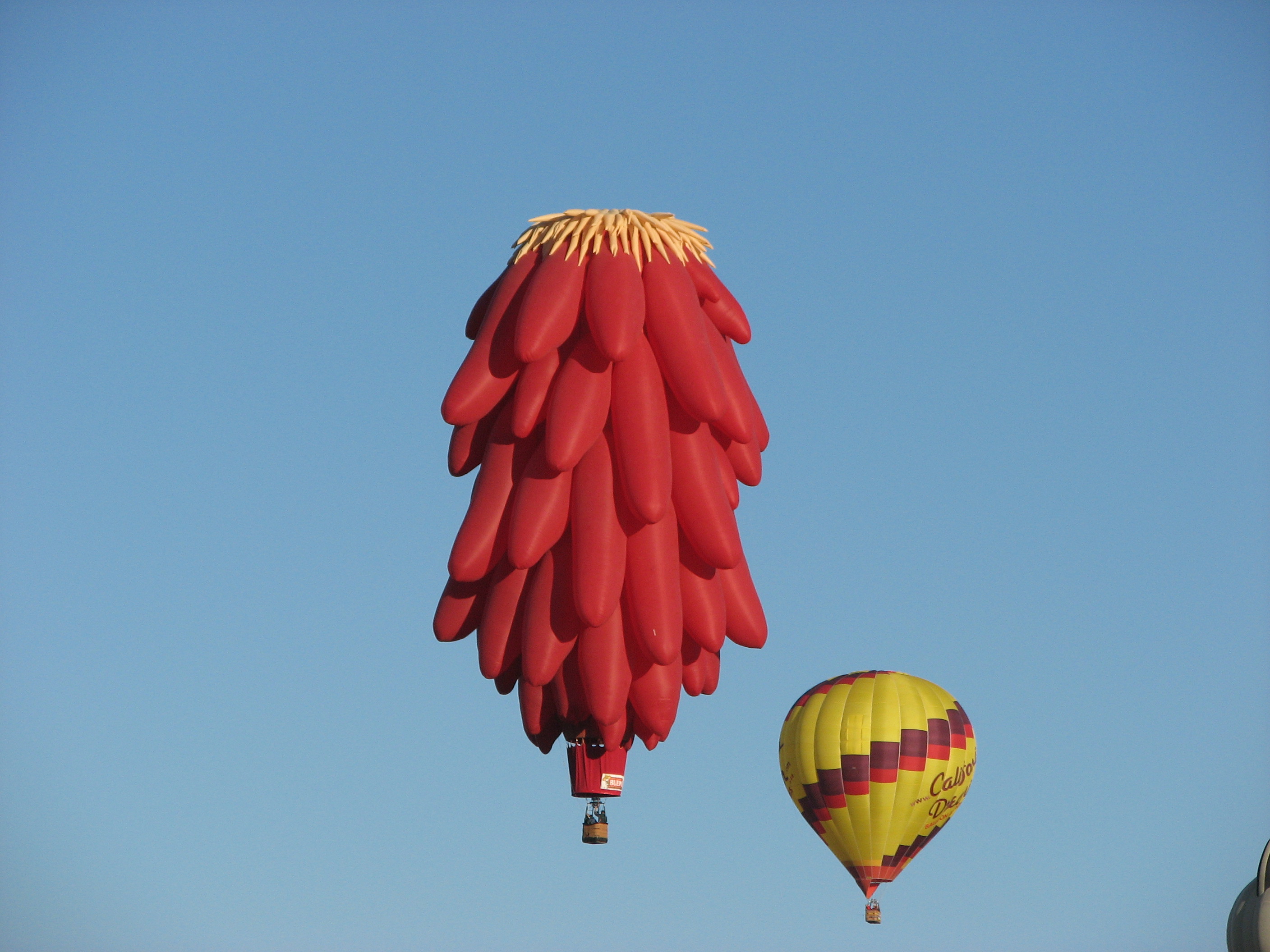 SECO NEWS - Ruth Copeland Photography Collection Preview - Hot Air ...