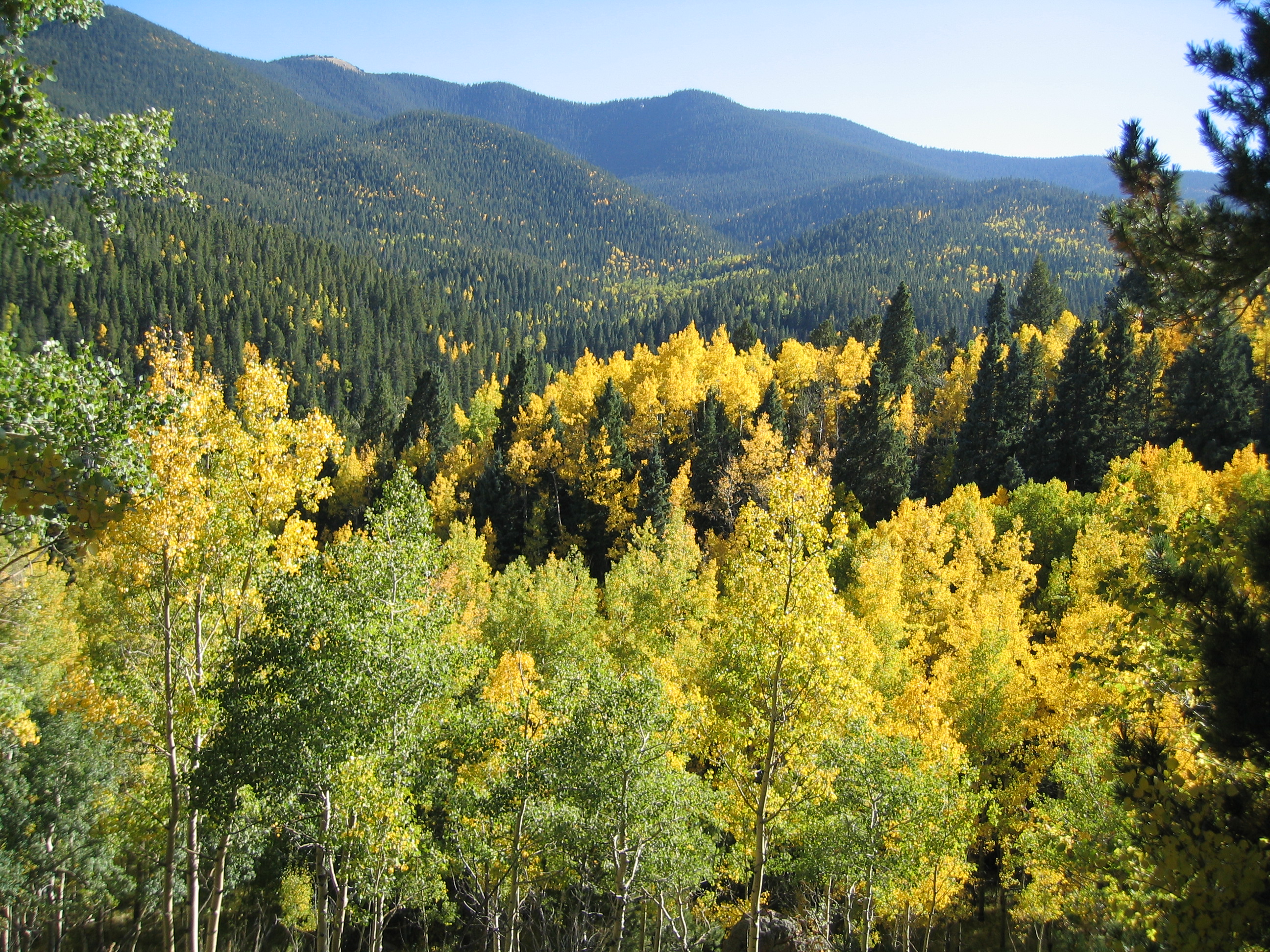 SECO NEWS - Ruth Copeland Photography Collection Preview - Fall in San ...