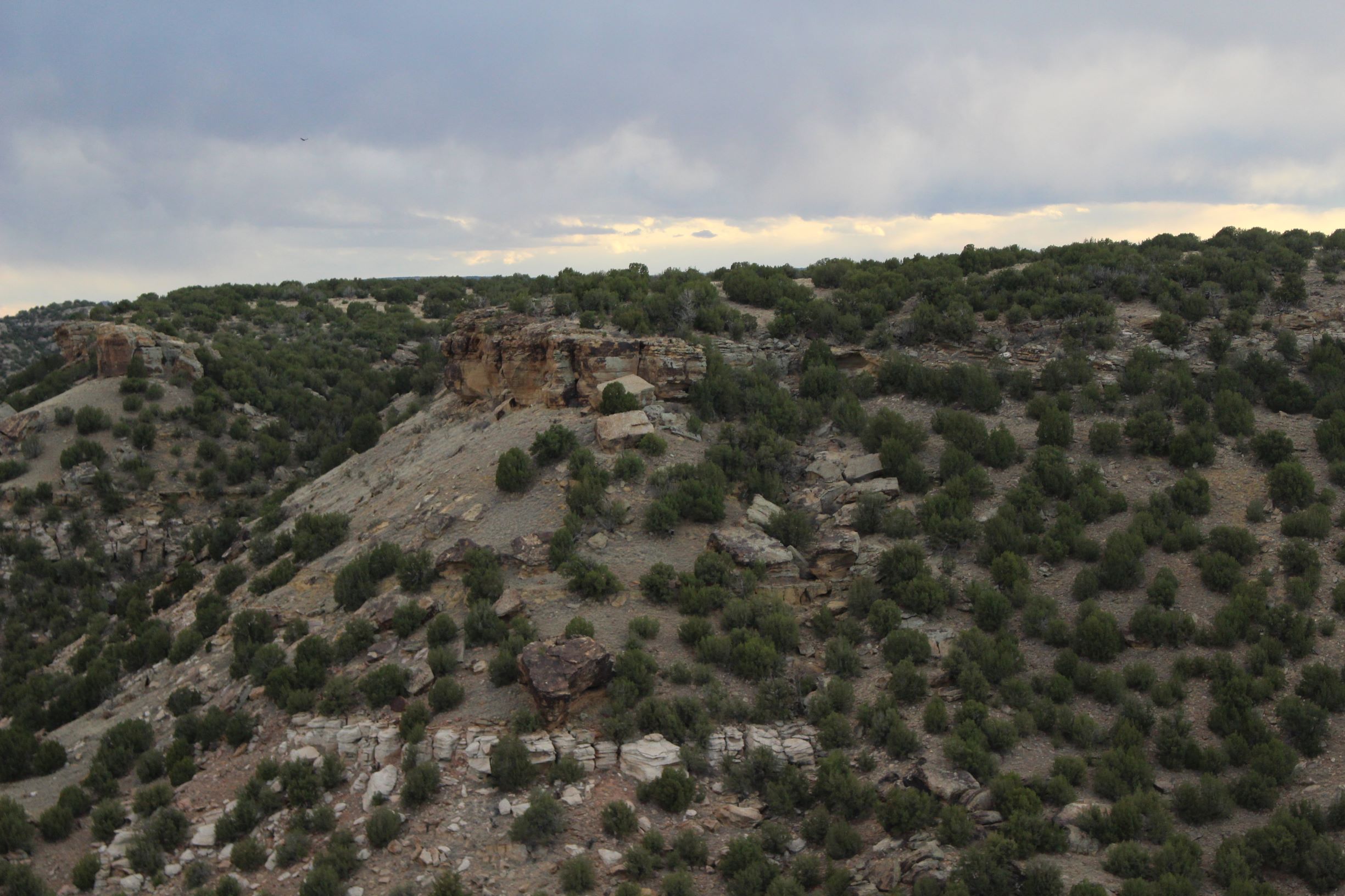 SECO NEWS - Picketwire Canyon - North America's Largest Dinosaur Tracksite