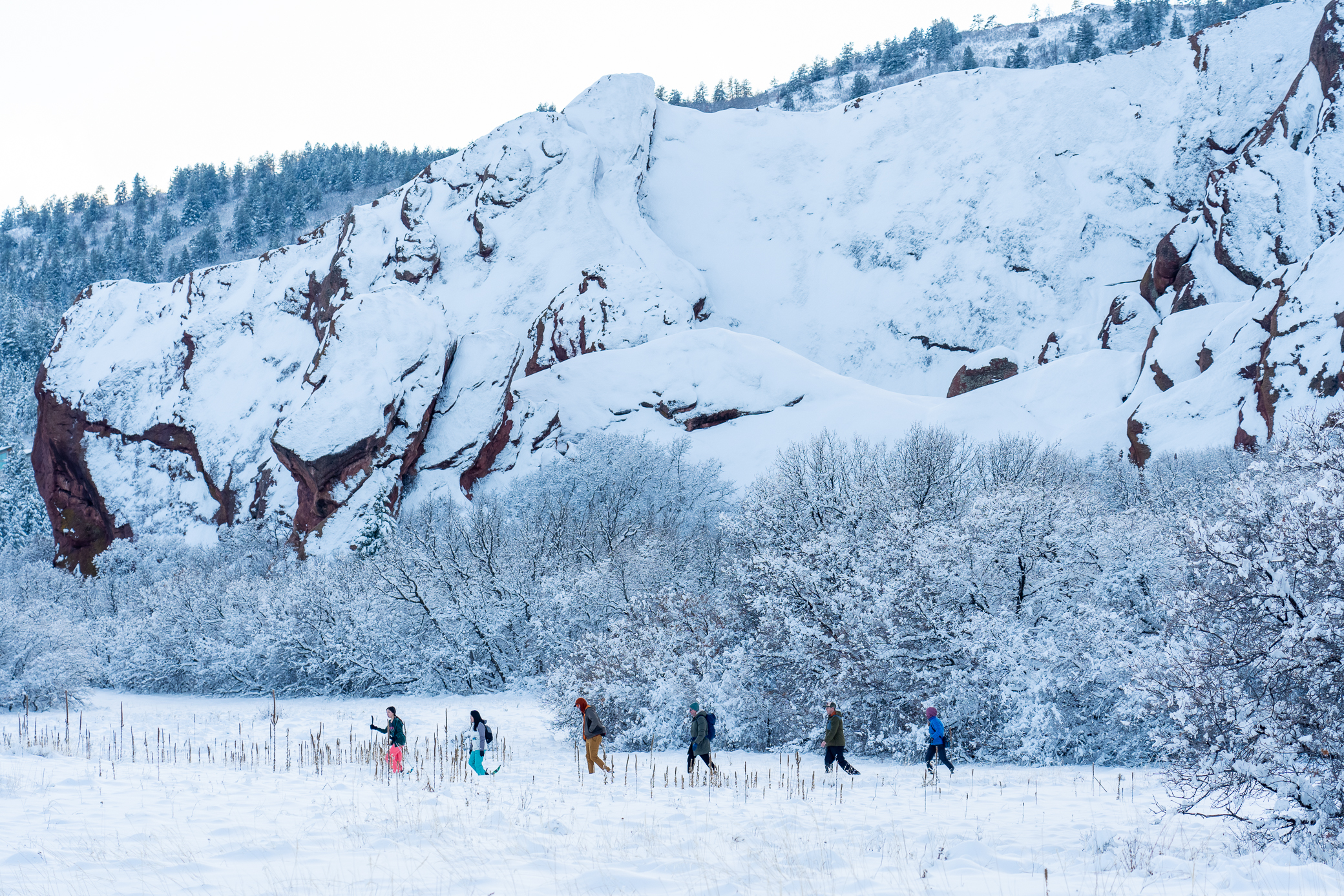 SECO NEWS - Experience Winter Adventures in Colorado: Discover Ways to ...