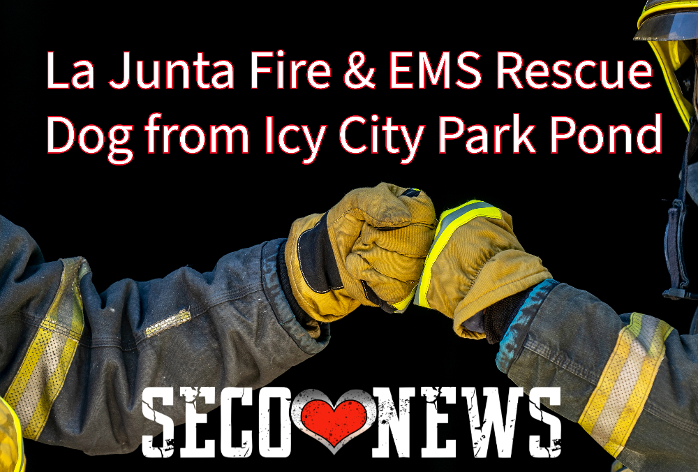 SECO NEWS - La Junta Fire & EMS Rescue Dog from Icy City Park Pond