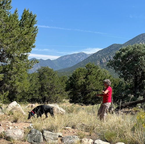 SECO NEWS - K-9 Search Conducted in Ongoing Kristal Reisinger Missing ...