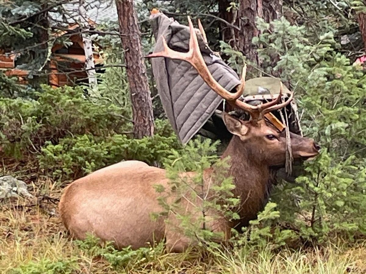 SECO NEWS - Yearbook Page