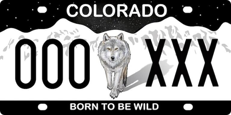 SECO NEWS - CPW Announces 2026 Grants to Boost Born to Be Wild License ...