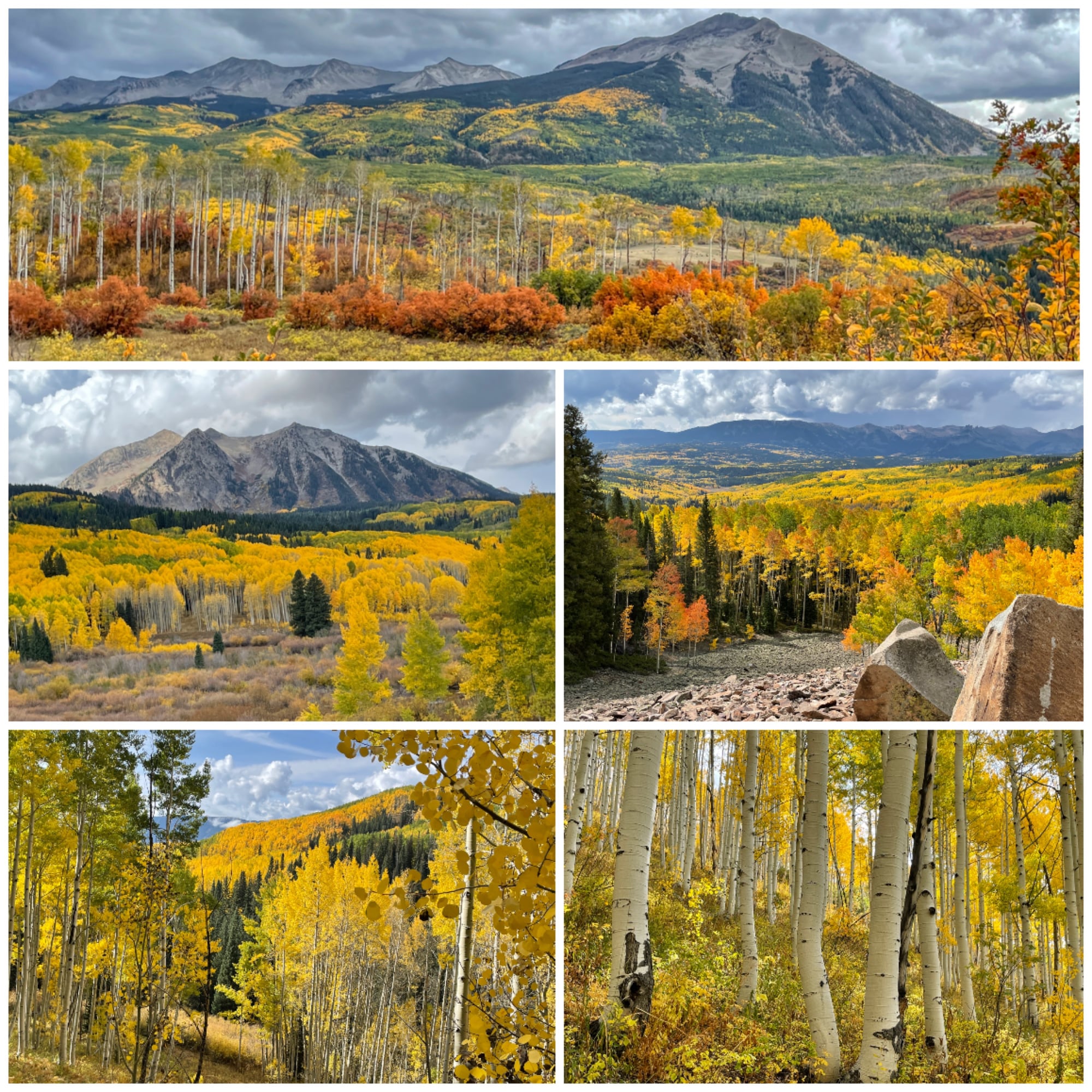 SECO NEWS - HomePage