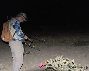 SECO NEWS - Tarantula Tracking with Dr. Shillington